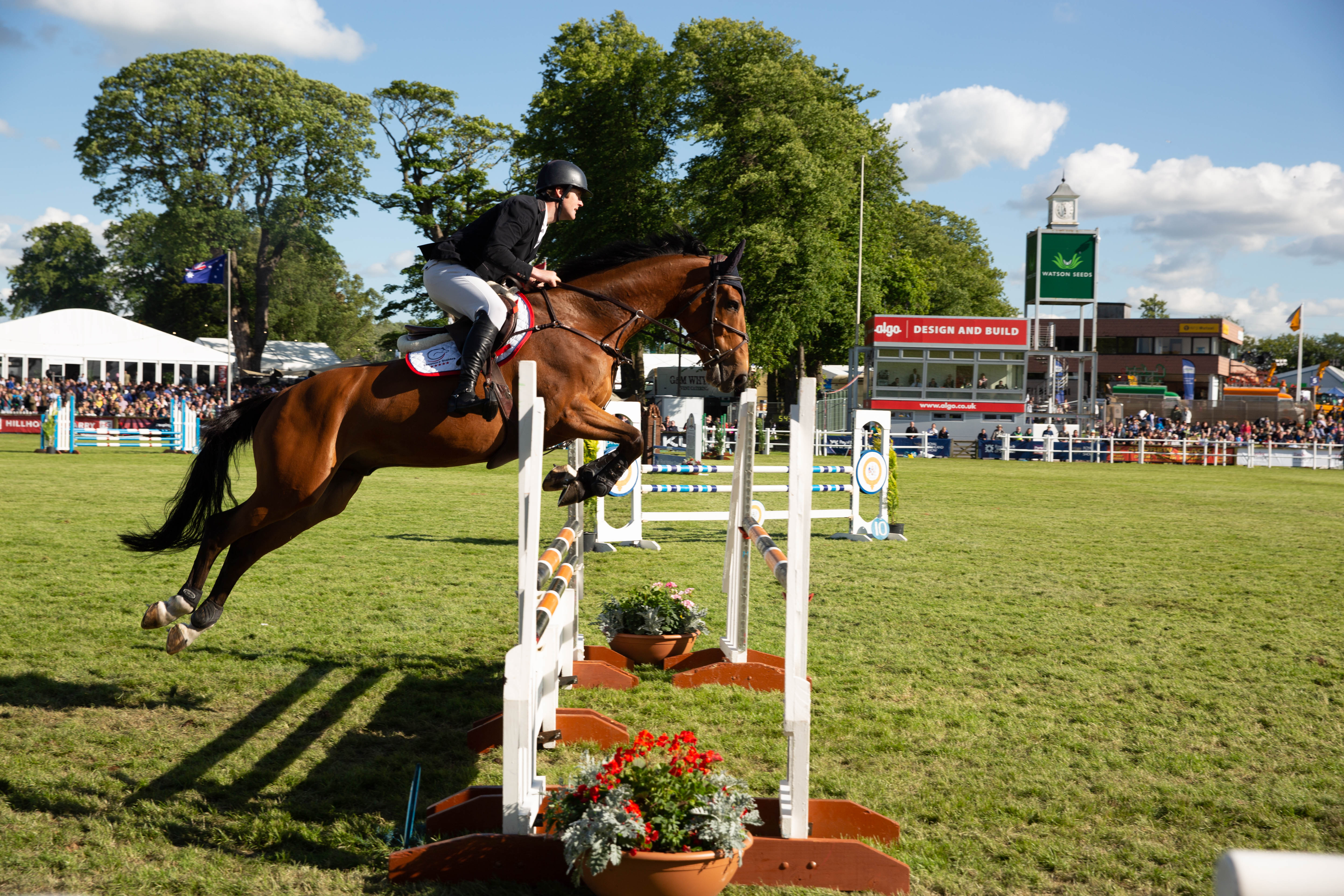 RHS TV Live! | Royal Highland Show