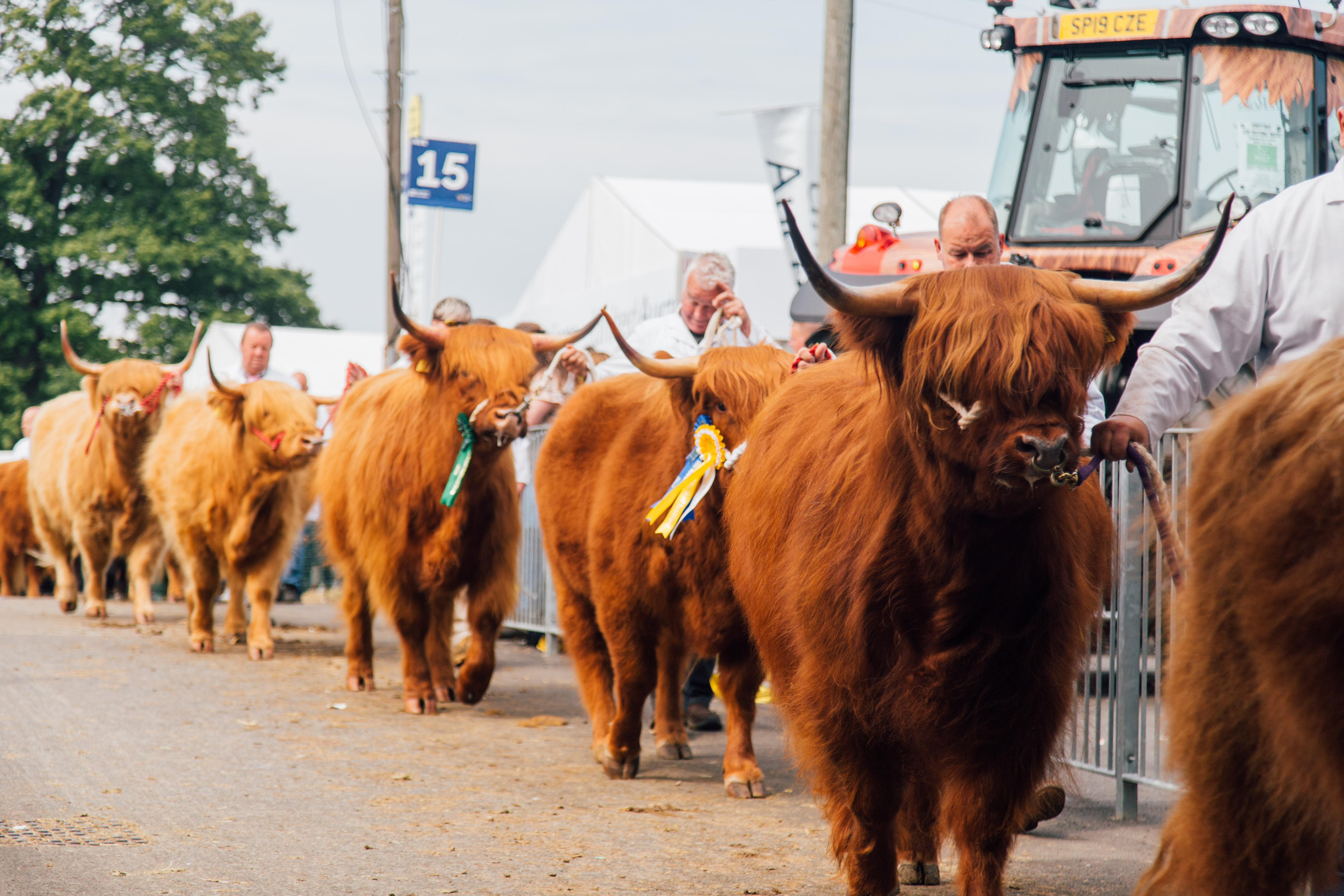 Home | Royal Highland Show | Royal Highland Show