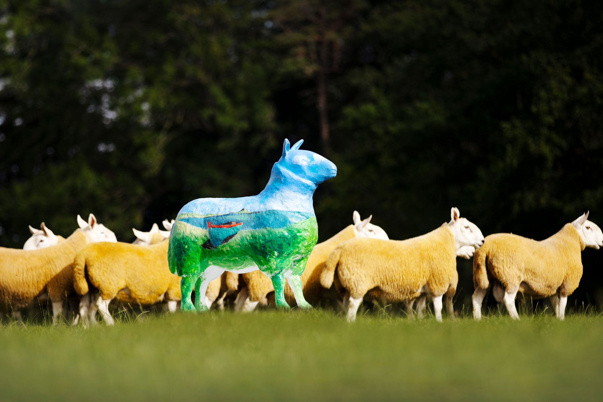 Home | Royal Highland Show | Royal Highland Show